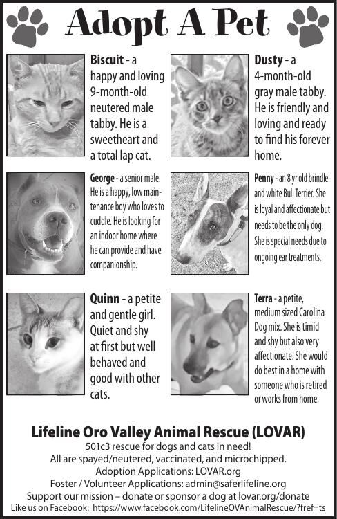 Lifeline Oro Valley Animal Rescue (LOVAR), 8/3/23 | Adopt A Pet ...