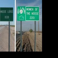 AC Moose marks fifth year of Adopt-A-Road project | News | pinalcentral.com