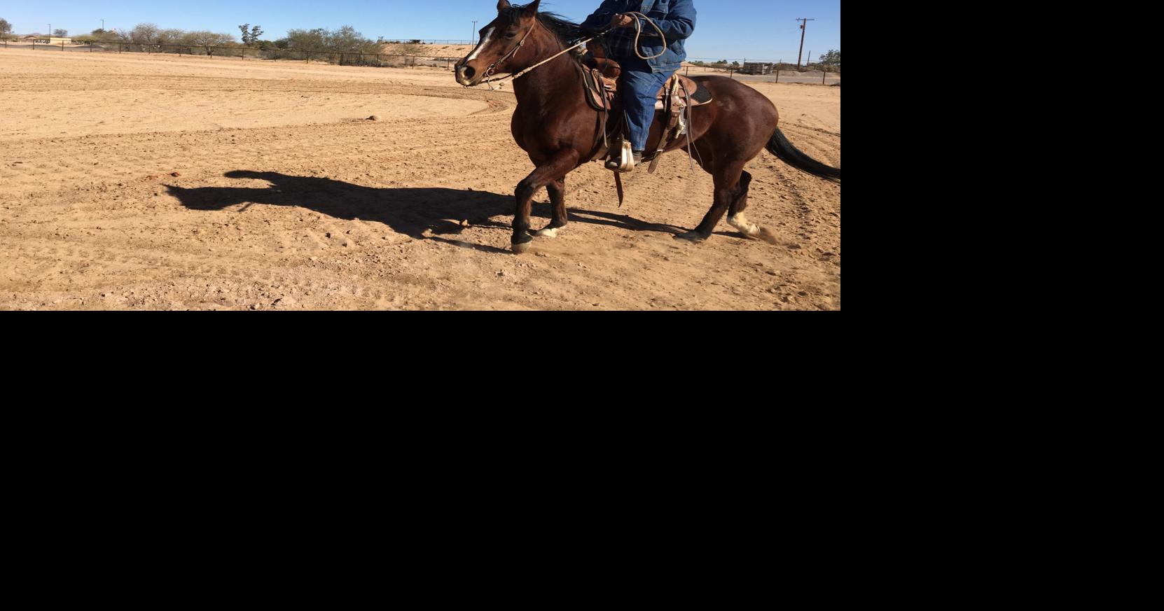 Rancher Alex Blaine is happy to represent O'Odham Tash | Recreation And ...