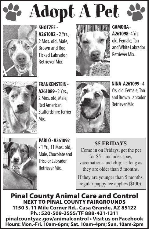 Pinal County Animal Care and Control, 5/7/24 | Adopt A Pet ...