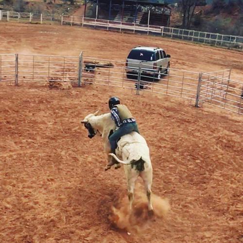 Teen Bull Rider | Sports | pinalcentral.com