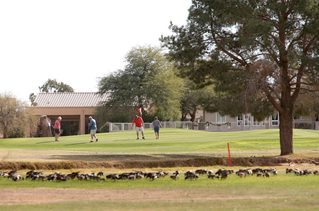 Arizona City Golf Club finding success after reopening | News ...