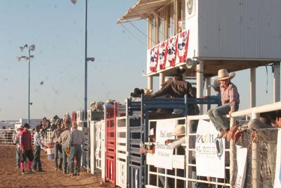 Florence poll: Offer more events at rodeo grounds | Entertainment ...