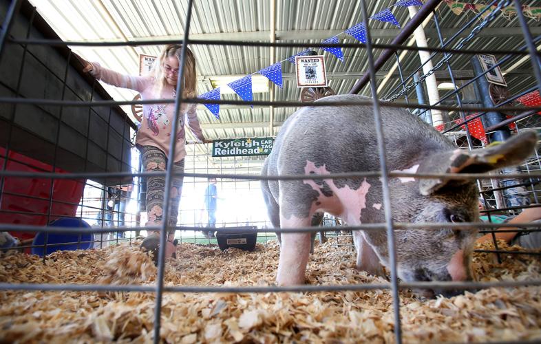 Pinal County Fair 3/20/19 | Featured | pinalcentral.com