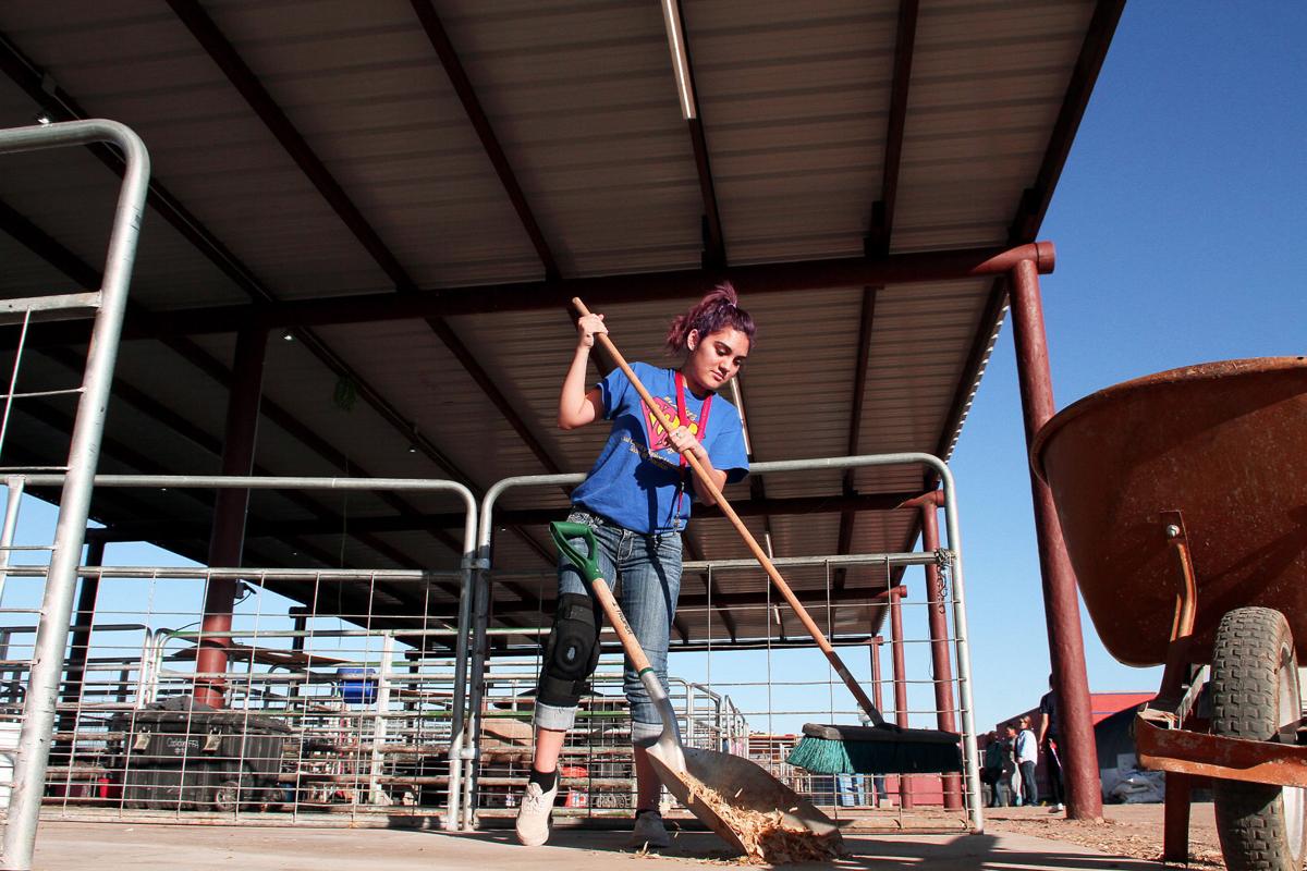 Community comes together to build new barn for FFA | Education ...