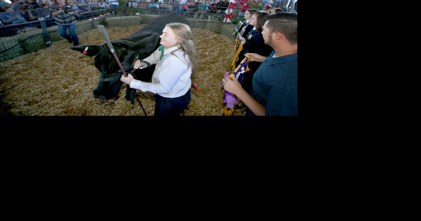 Pinal County Fair | Featured | pinalcentral.com