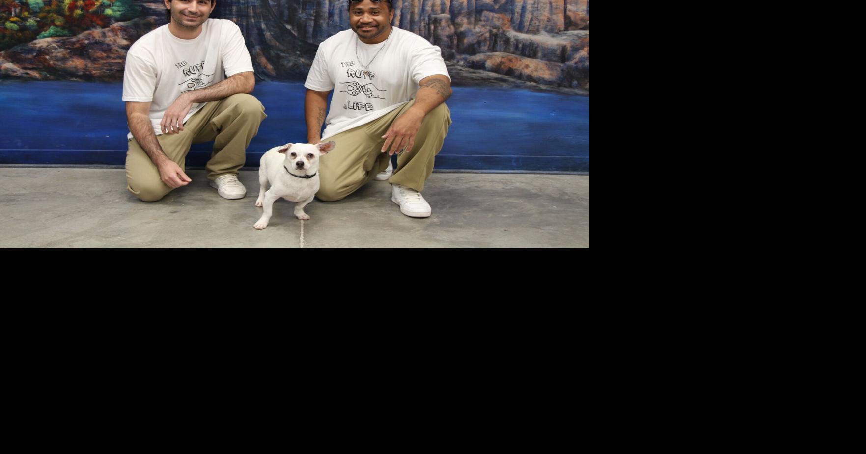 7 inmate-trained dogs to be featured at adoption event Saturday | Area ...