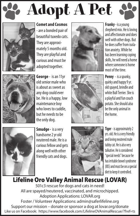 Lifeline Oro Valley Animal Rescue (LOVAR), 11/23/23 | Adopt A Pet ...