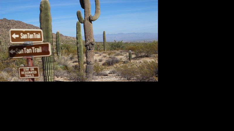 Your guide to San Tan Mountain Regional Park | San Tan Valley Sentinel ...