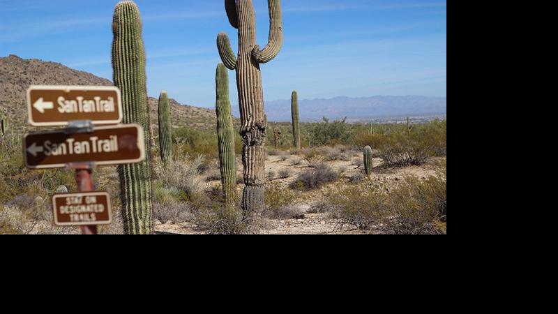 Your guide to San Tan Mountain Regional Park | San Tan Valley Sentinel ...