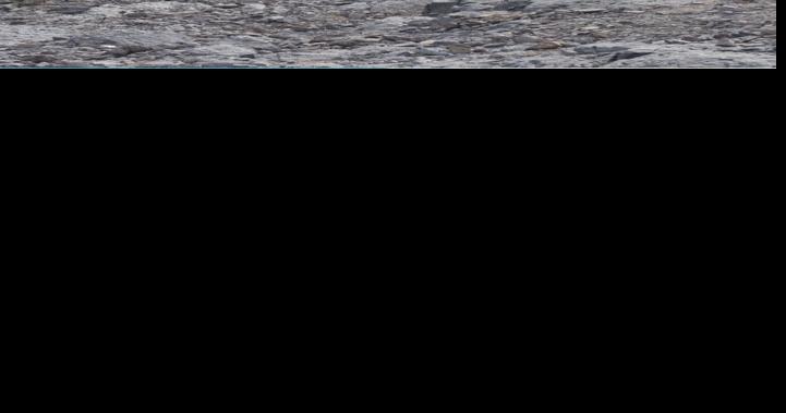 Florence developing ‘Poston Butte Preserve’ | News | pinalcentral.com