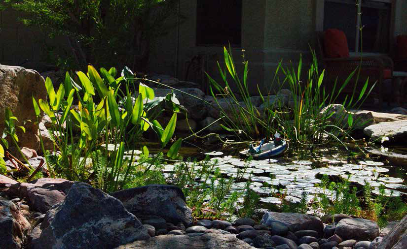 Gibson: Creating and using microclimates in the landscape | Home And ...