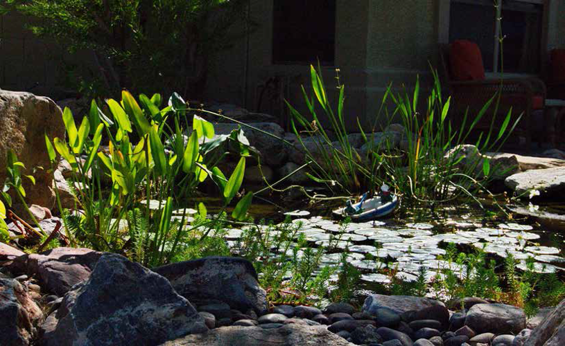 Gibson: Creating and using microclimates in the landscape | Home And ...