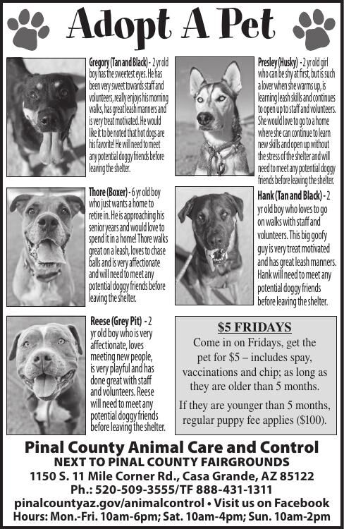 Pinal County Animal Care and Control, 10/24/23 | Adopt A Pet ...