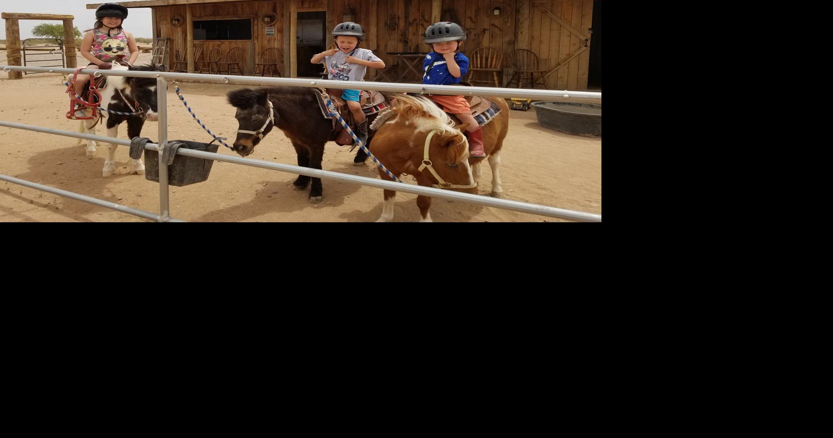 Pony ranch aims to be a place where kids learn to love animals | Area ...