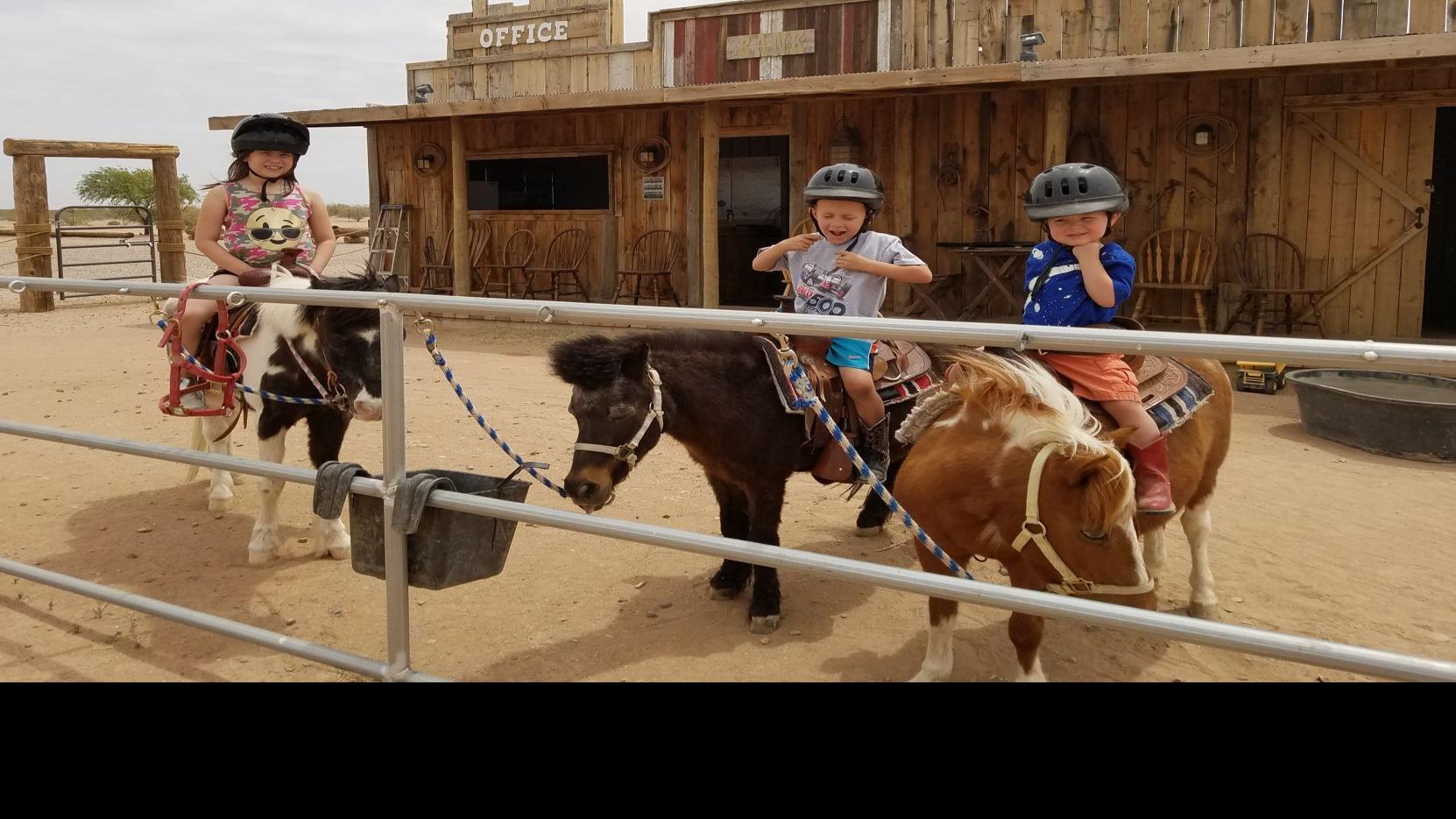 Pony ranch aims to be a place where kids learn to love animals | Area ...