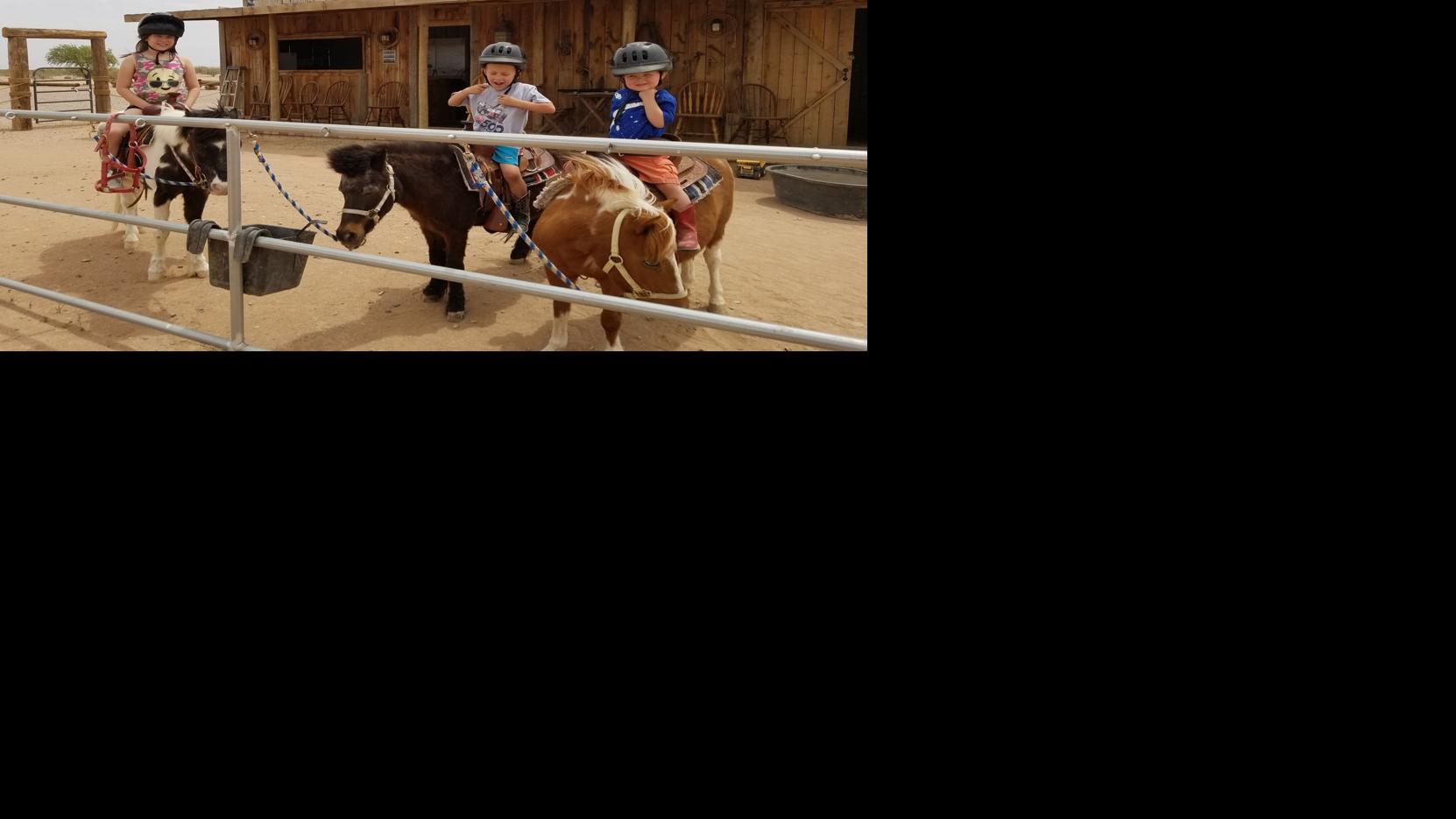 Pony ranch aims to be a place where kids learn to love animals | Area ...