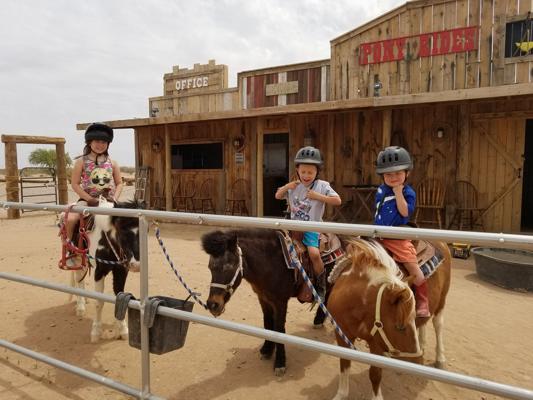 Pony ranch aims to be a place where kids learn to love animals | Area ...