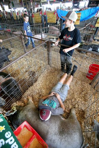 Pinal County Fair 3/20/19 | Featured | pinalcentral.com