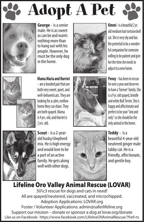 Lifeline Oro Valley Animal Rescue (LOVAR), 3/14/24 | Adopt A Pet ...