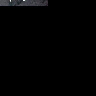 Roy Coffman Jr. | Obituaries | pinalcentral.com