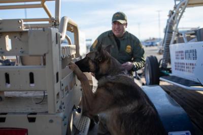 Seasoned Border Patrol canine handlers train with new dogs in Yuma ...