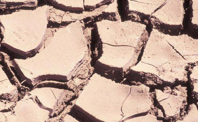 Gibson: Soil crusting is something that can be addressed | Home And ...