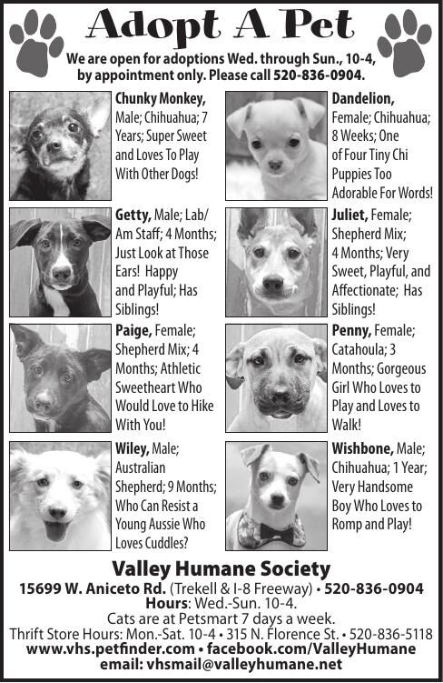 Valley Humane Society, 6/8/23 | Adopt A Pet | pinalcentral.com