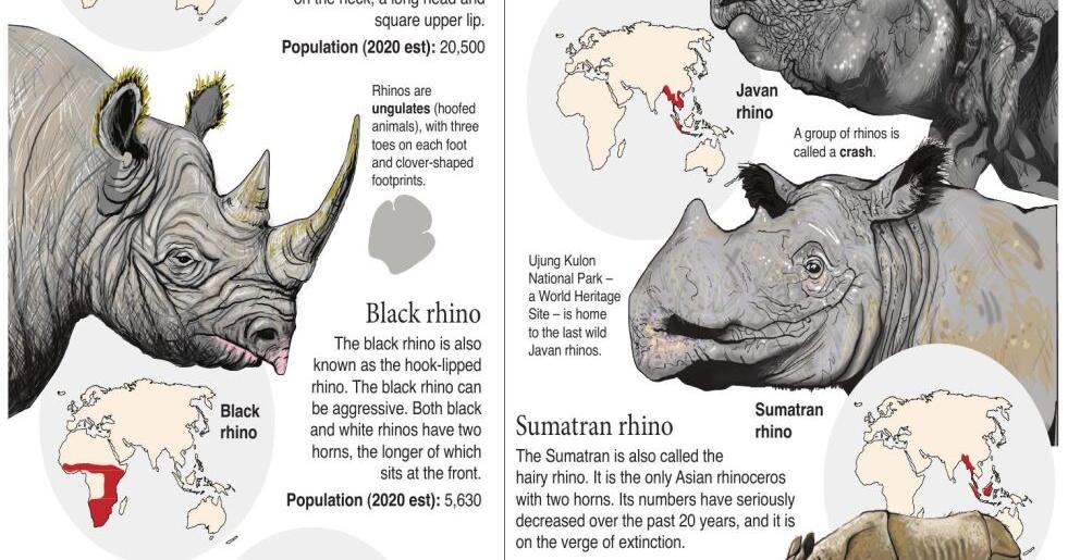 NIE 12/17/20 | Newspapers In Education | pinalcentral.com