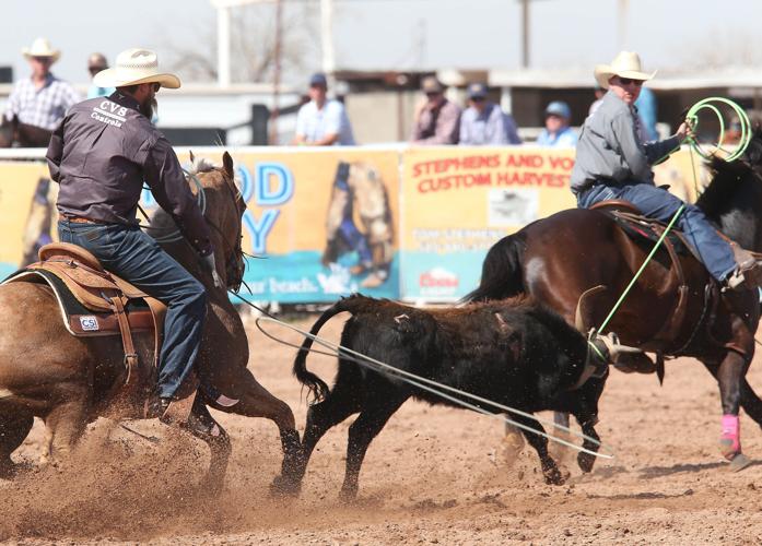 Mike Cervi Jr. Memorial Roping 2/22/17 | Featured | pinalcentral.com
