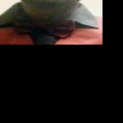 Anthony Price | Obituaries | pinalcentral.com