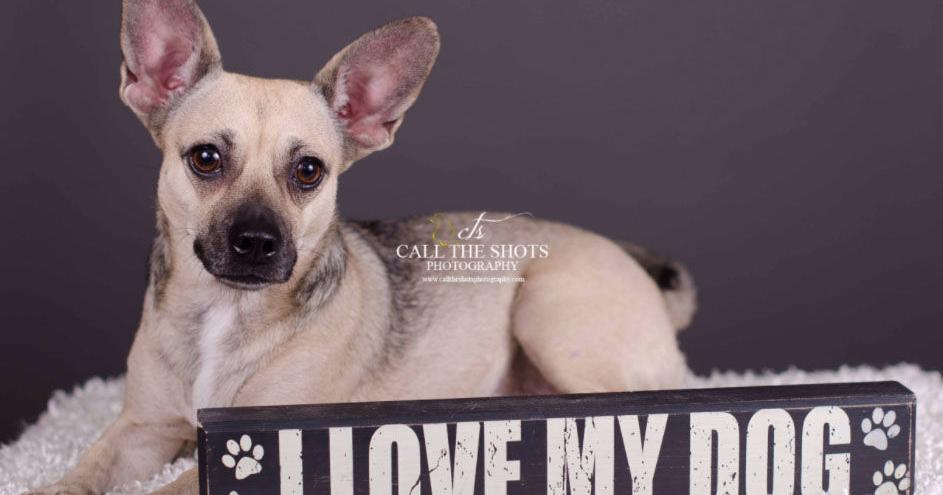 ‘Freya’ | News | pinalcentral.com