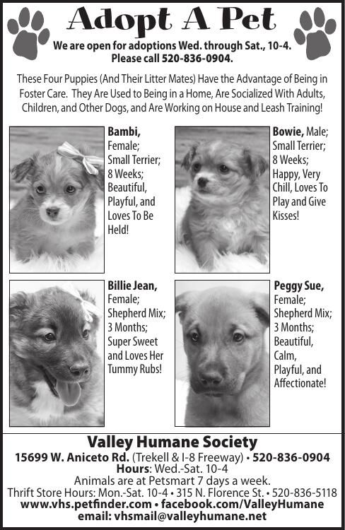 Valley Humane Society, 4/ | | pinalcentral.com