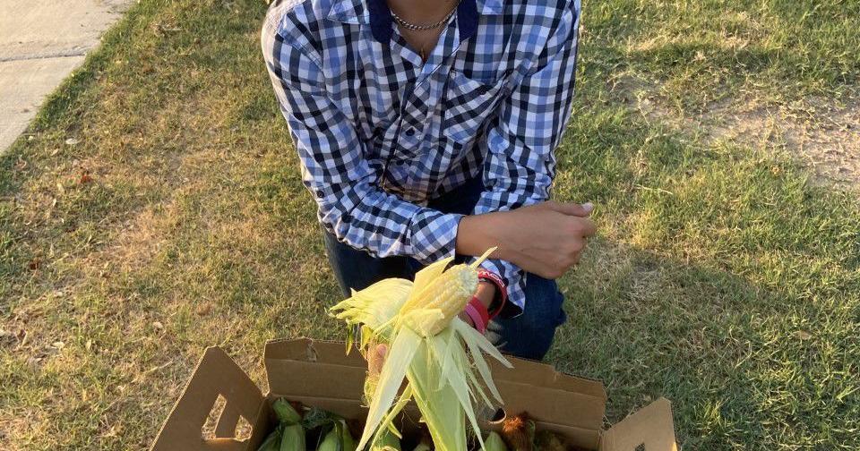 Corn grown by area kids provides nurturing, nutrition to residents of ...