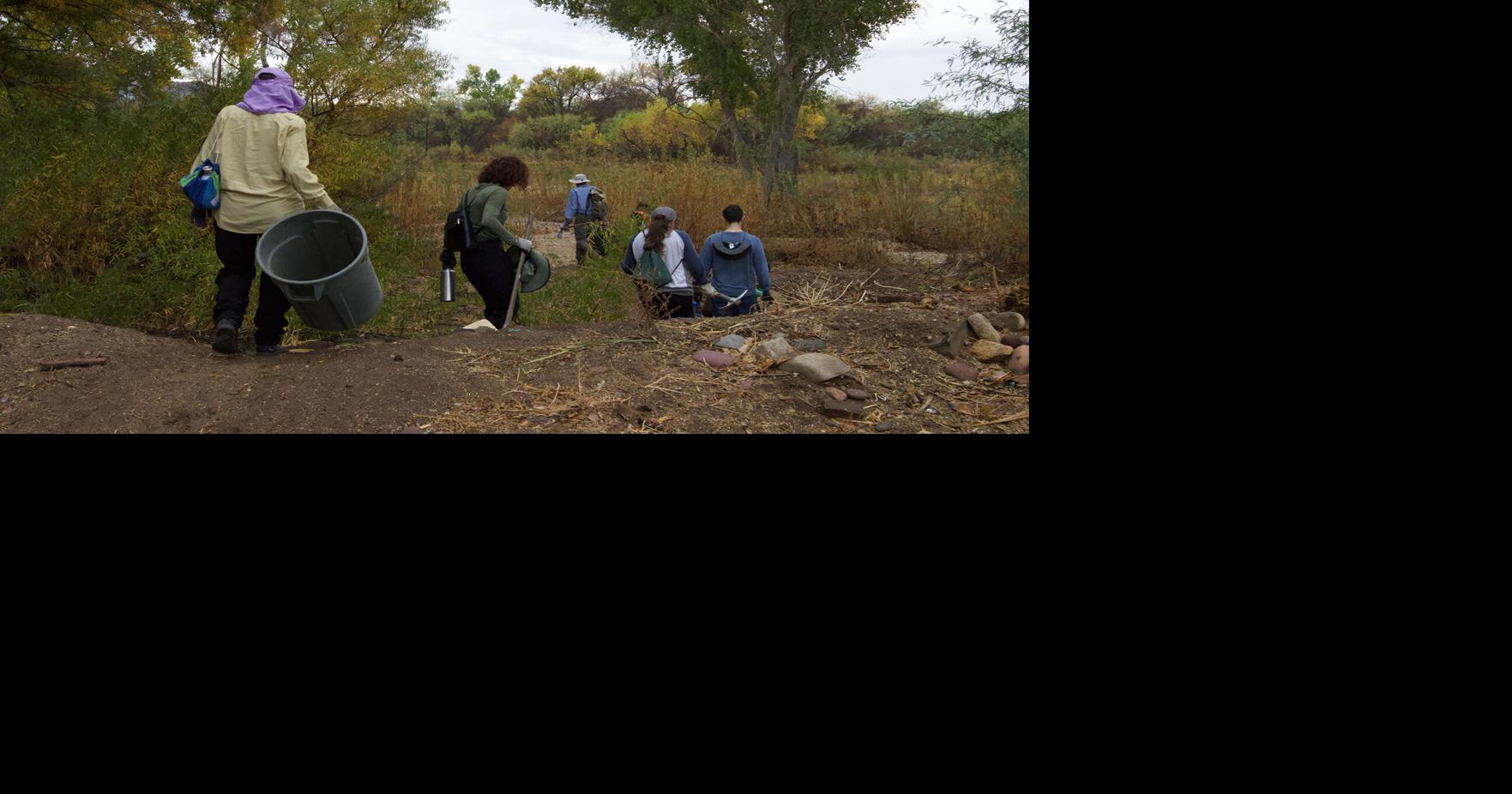 Group removes invasive plants to aid in river flow, land restoration in ...