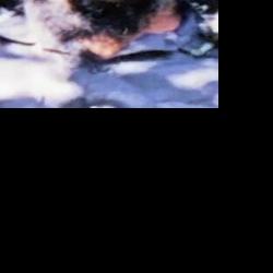 Joseph Norris | Obituaries | pinalcentral.com
