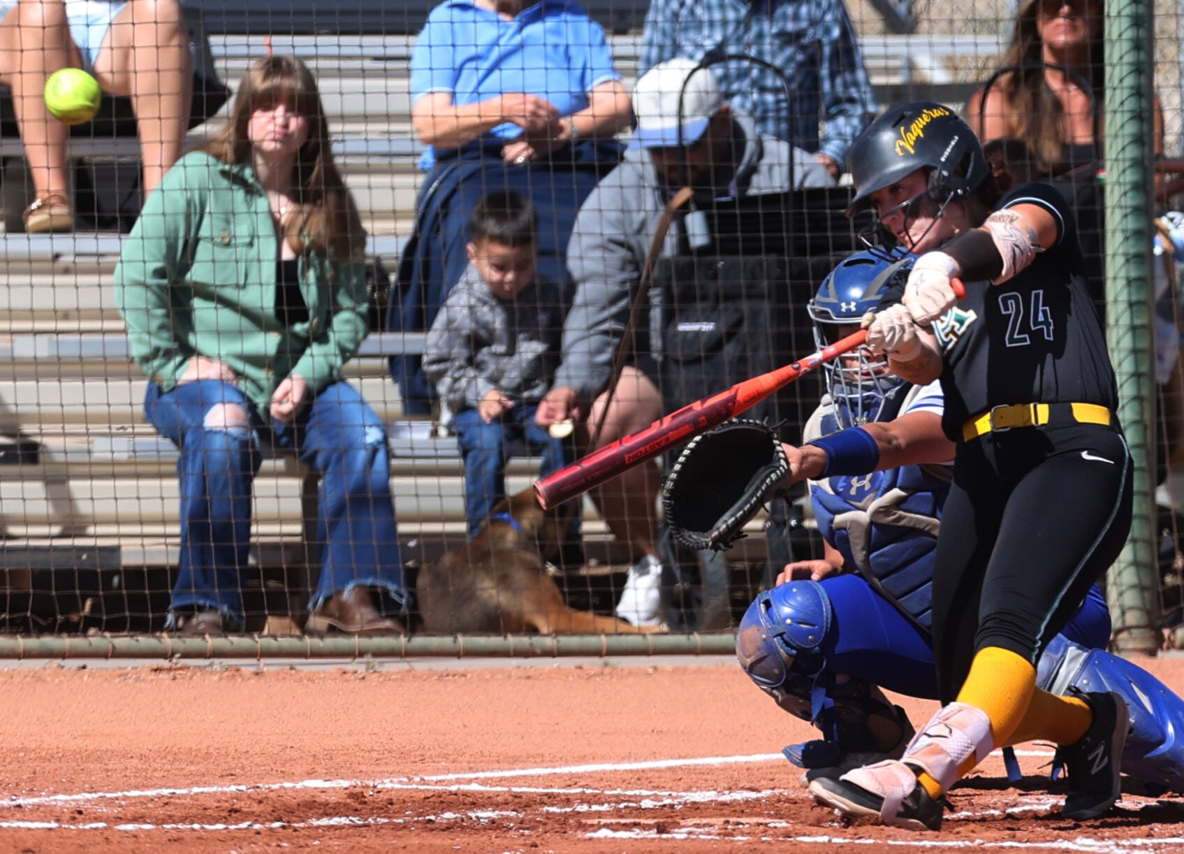 Softball: CAC vs. Southern Nevada 3/7/26 | Sports Photo Galleries ...