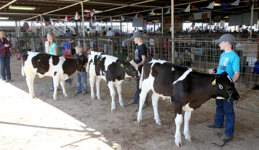 Pinal County Fair 3/20/19 | Featured | pinalcentral.com