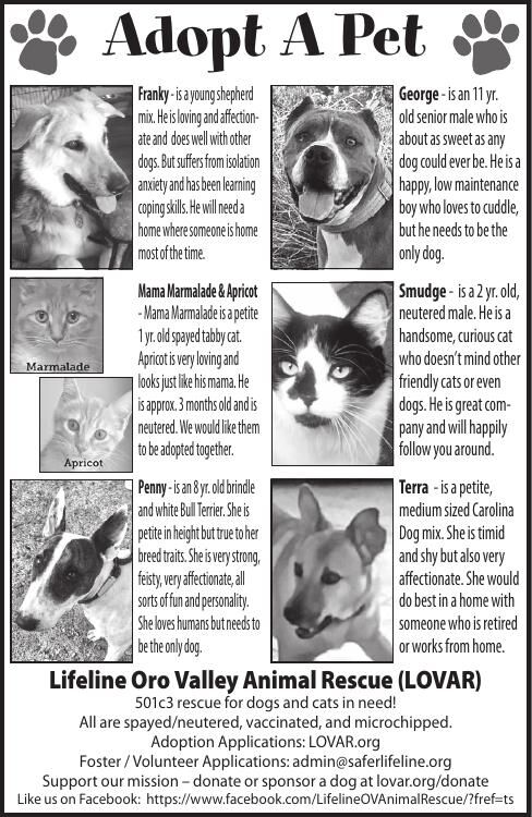 Lifeline Oro Valley Animal Rescue (LOVAR), 8/24/23 | Adopt A Pet ...