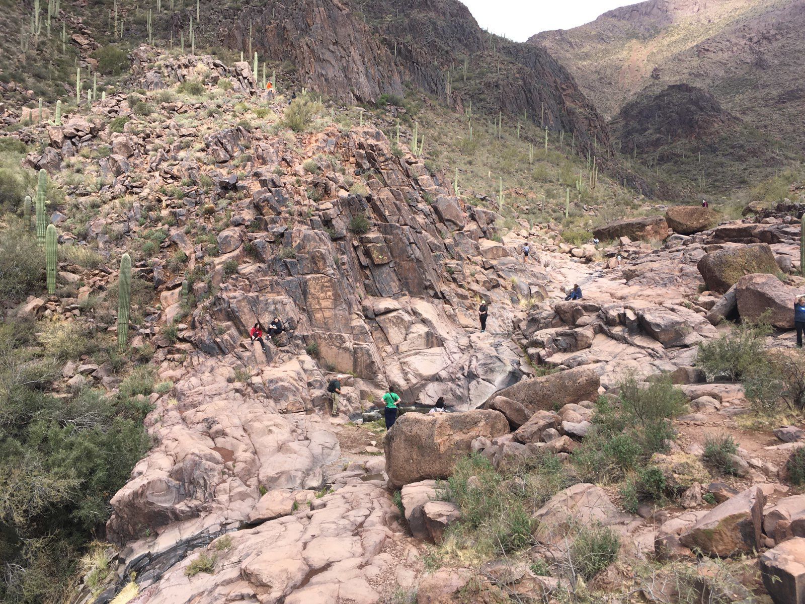 Pinal's best petroglyphs can be found near Gold Canyon | Apache ...