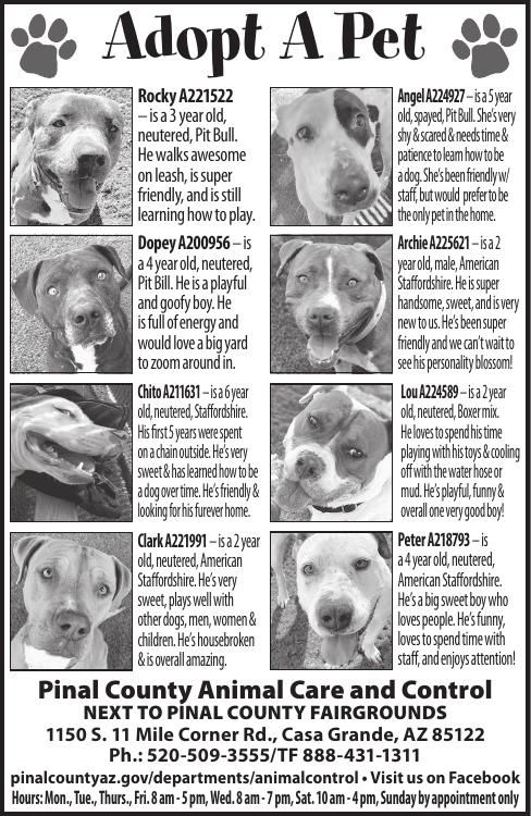 Pinal County Animal Care and Control, 5/5/20 | Adopt A Pet ...