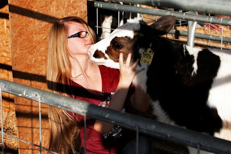 New FFA barn at Coolidge High School | Featured | pinalcentral.com