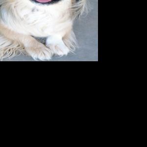 Medication not always the answer | Local | pinalcentral.com