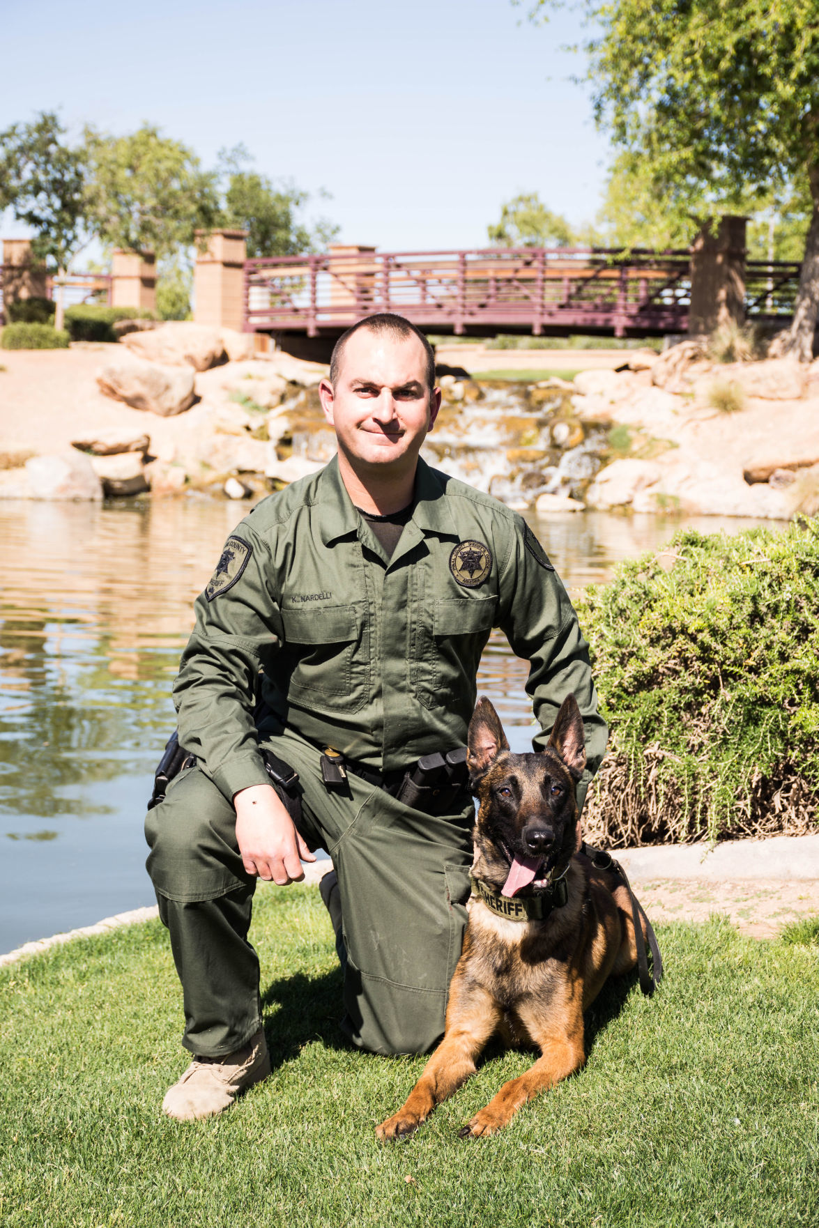 PCSO to get new dog vests | News | pinalcentral.com