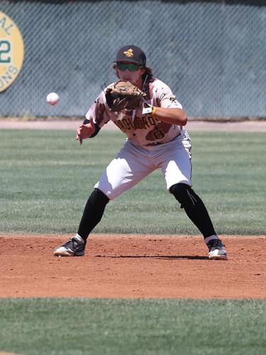 Central Arizona vs. Arizona Western | Sports | pinalcentral.com