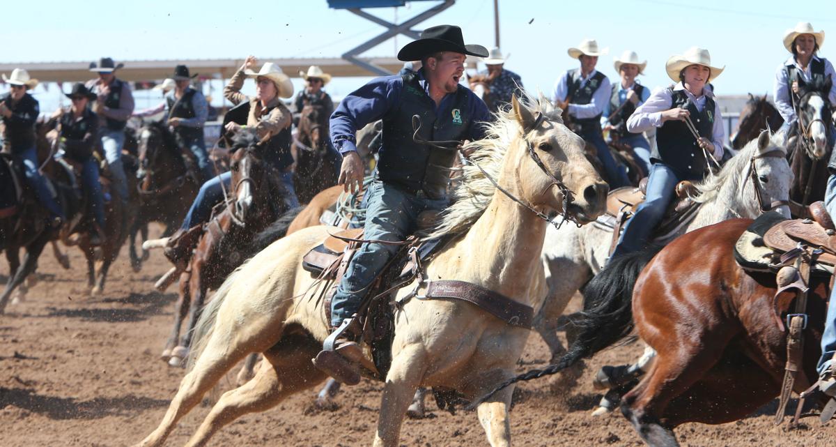 Central Arizona College Rodeo | Featured | pinalcentral.com