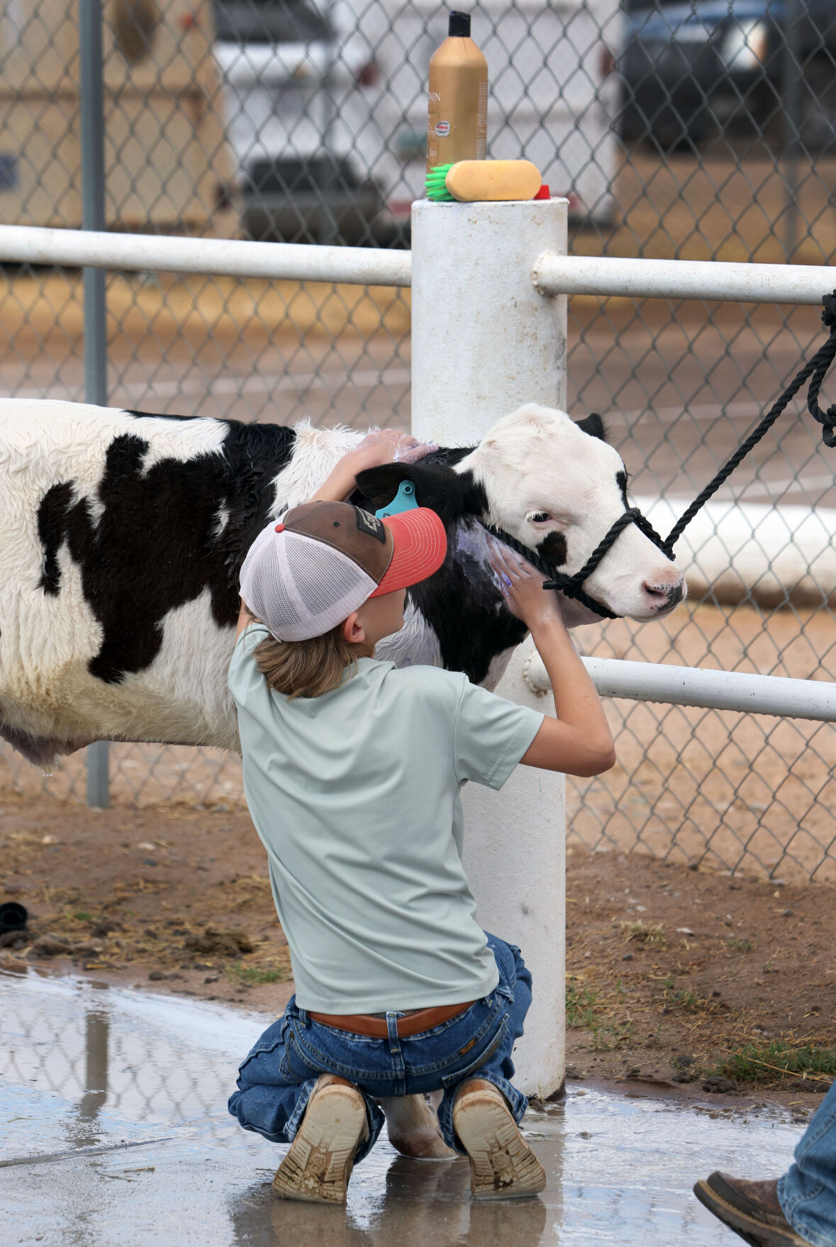 Pinal County Fair 3/12/25 | Featured | pinalcentral.com