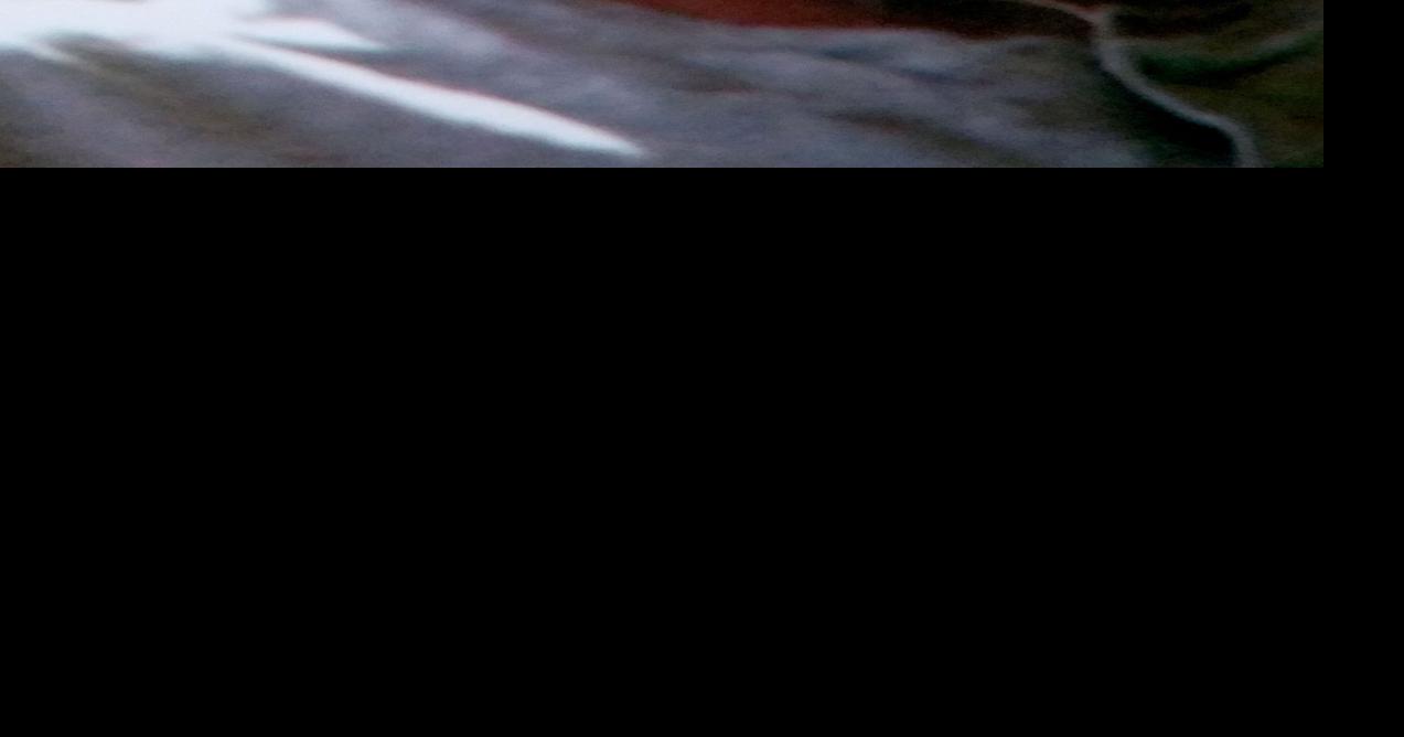 Stewart Daniels | Obituaries | pinalcentral.com