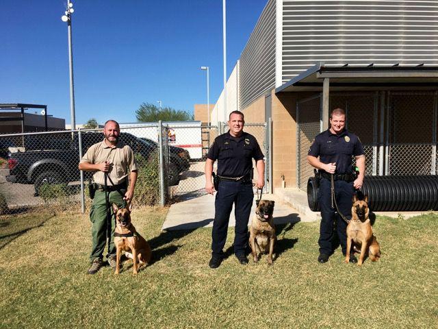 K-9s are key part of Casa Grande police force | Area News ...