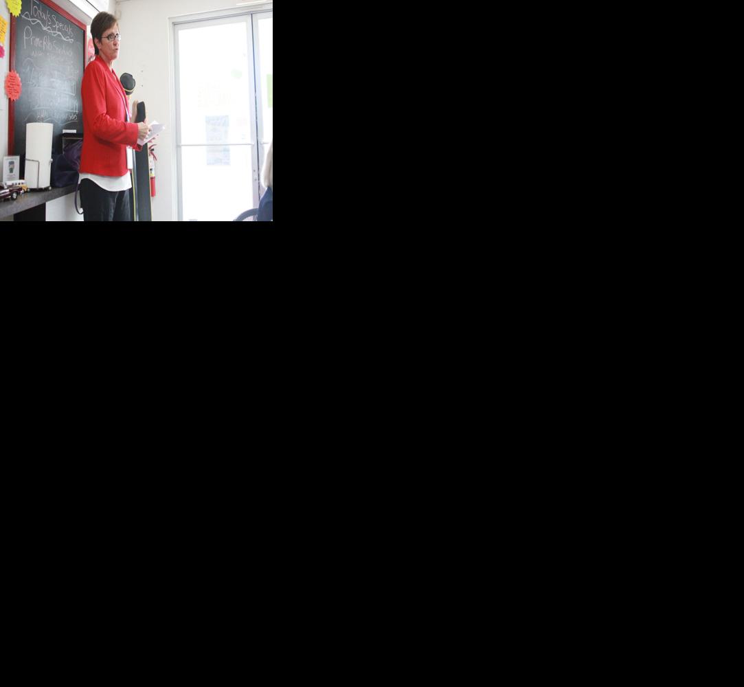 Nancy Larson from Triad speaks at AZ City Chamber luncheon | News ...